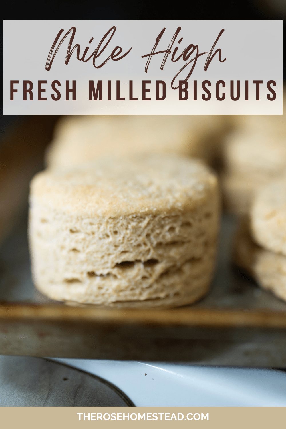 Mile High Biscuits Made with Fresh Milled Flour - The Rose Homestead
