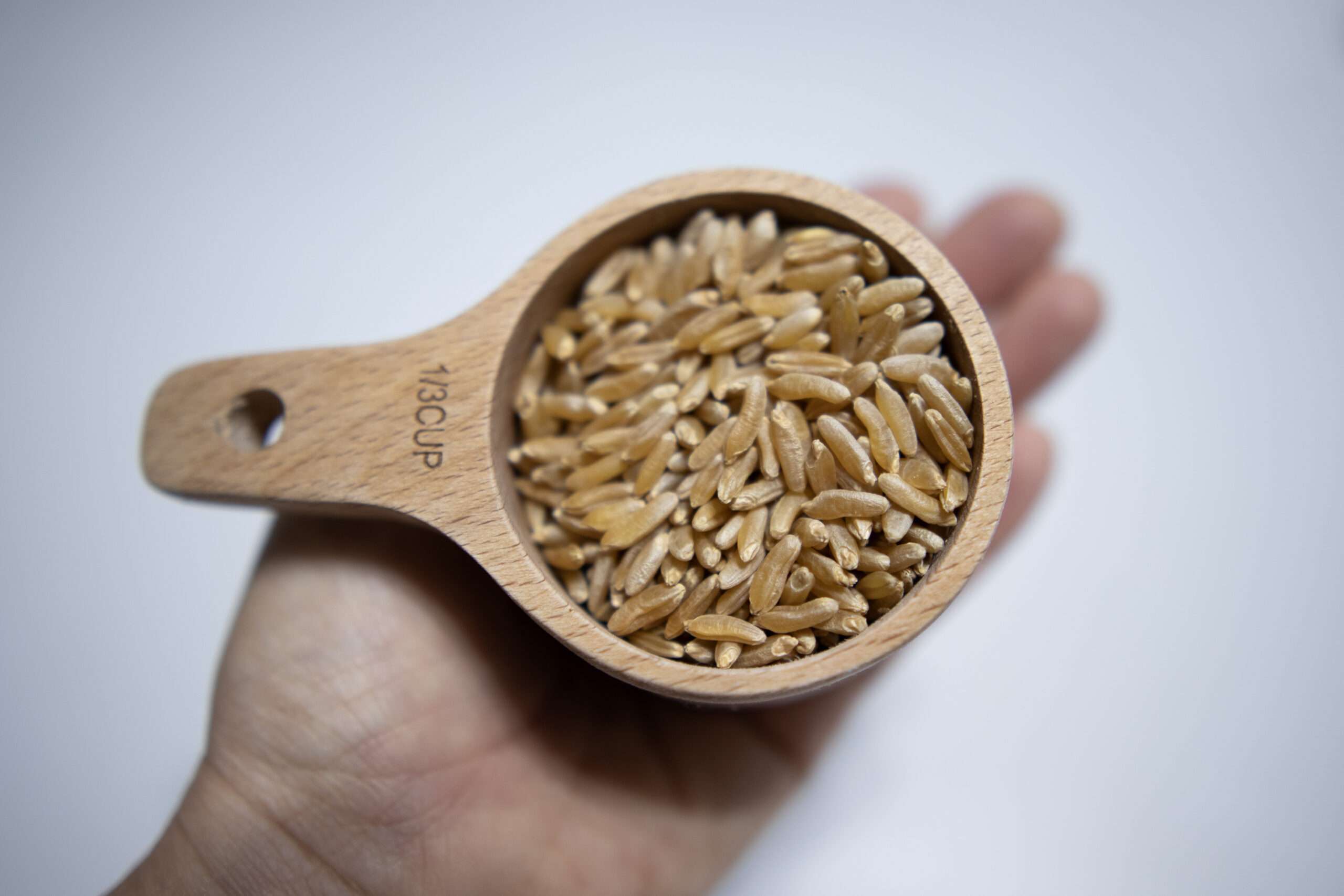 Using Freshly Milled Flour in your Kitchen - The Rose Homestead