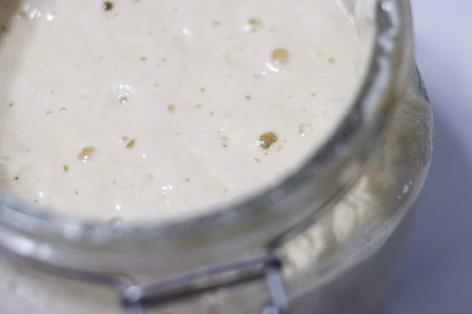 How to make Simple Sourdough Biscotti - The Rose Homestead