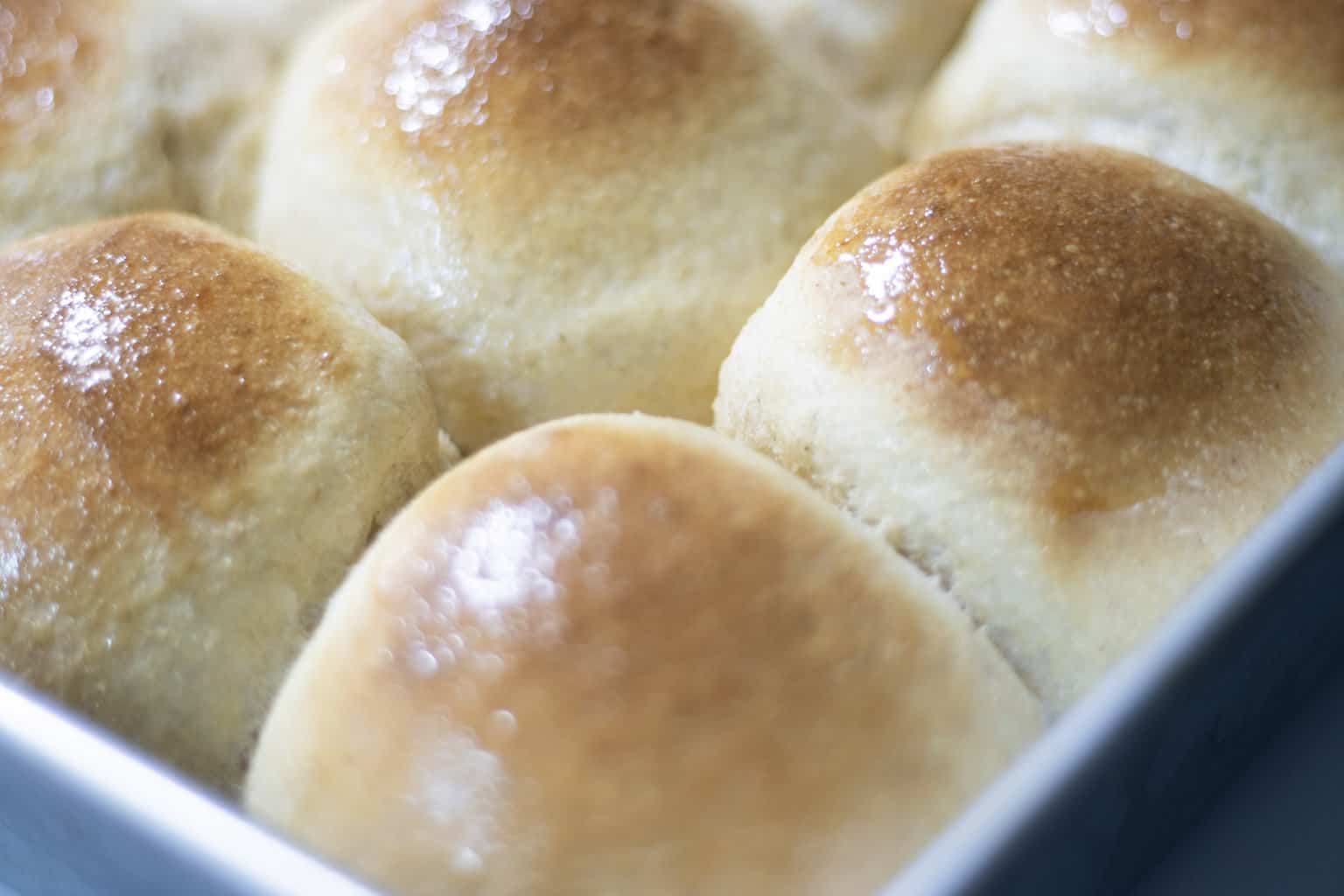 Easy Homemade Milk Kefir Dinner Rolls | Quick Recipe - The Rose Homestead