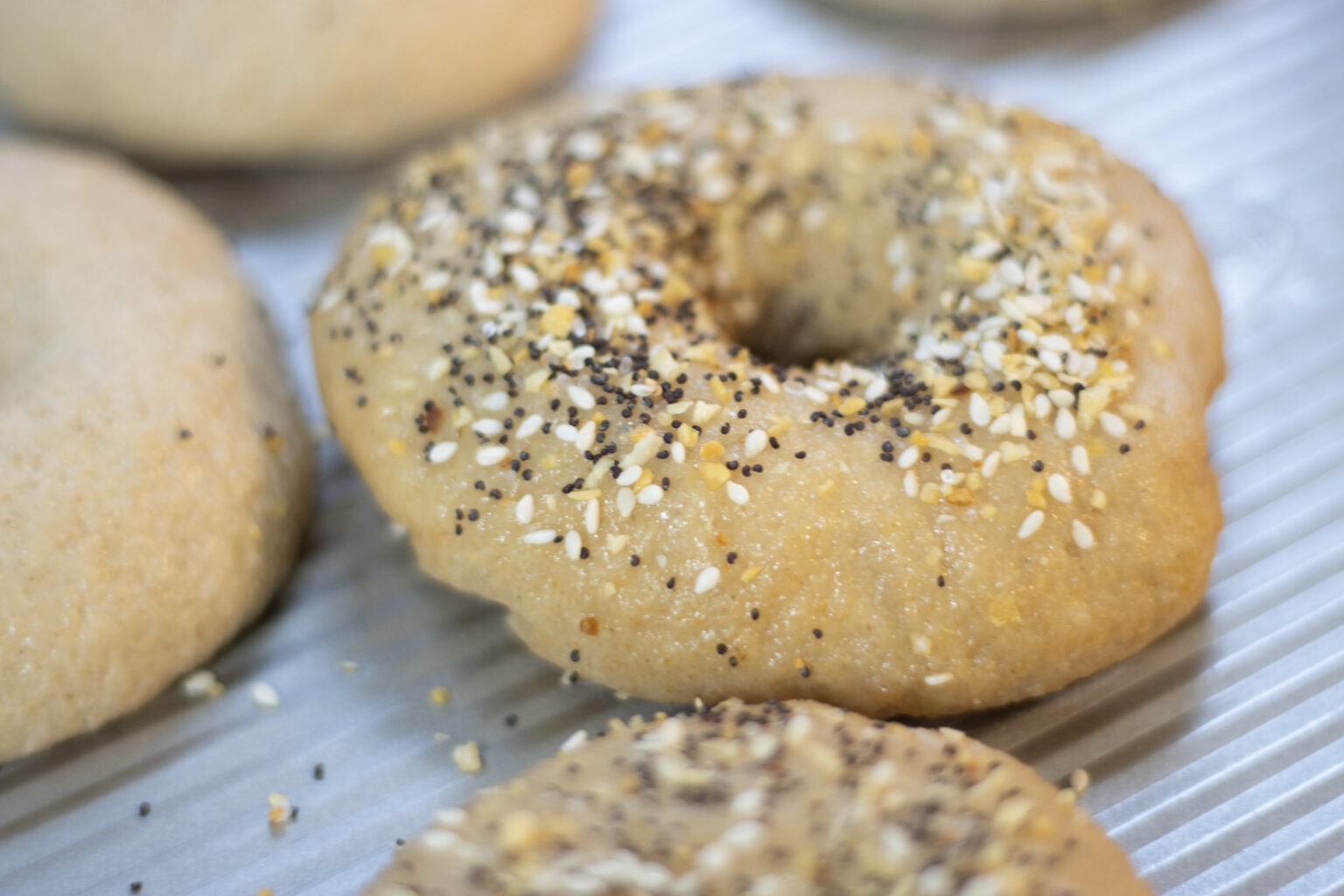 The Best Sourdough Bagels Recipe | Easy and Homemade - The Rose Homestead