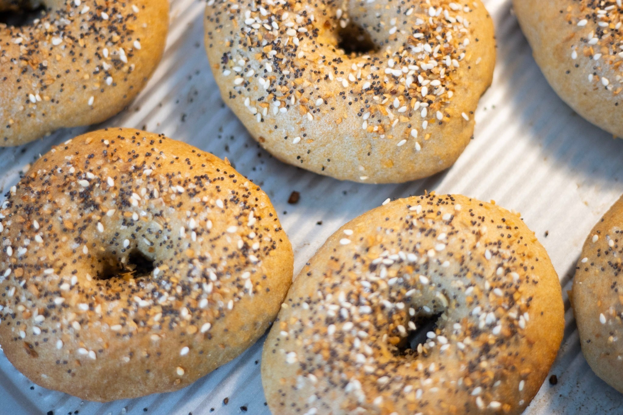 The Best Sourdough Bagels Recipe | Easy and Homemade - The Rose Homestead