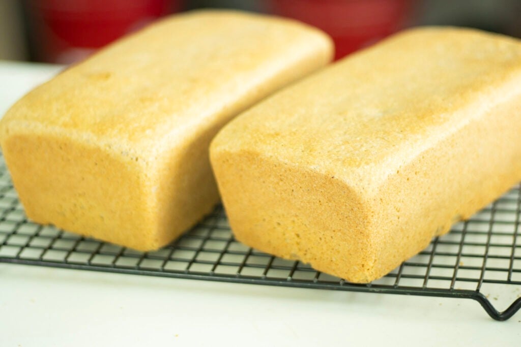 Whole Grain Sourdough Sandwich Bread - The Rose Homestead