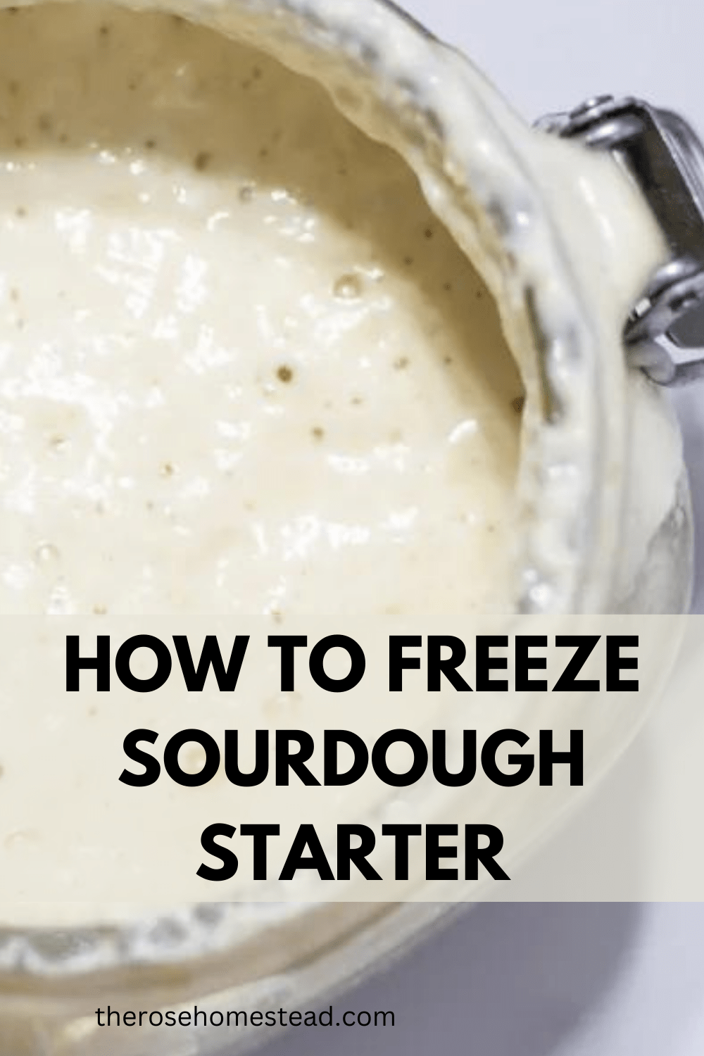 Can you freeze sourdough starter | Easy tutorial - The Rose Homestead
