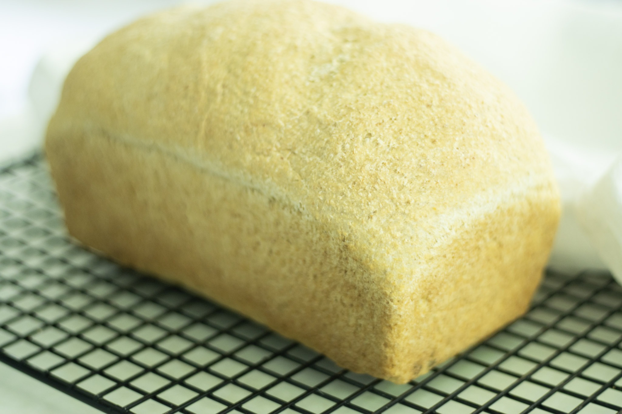 How to Make Bread Without a Recipe | Simple Formula - The Rose Homestead