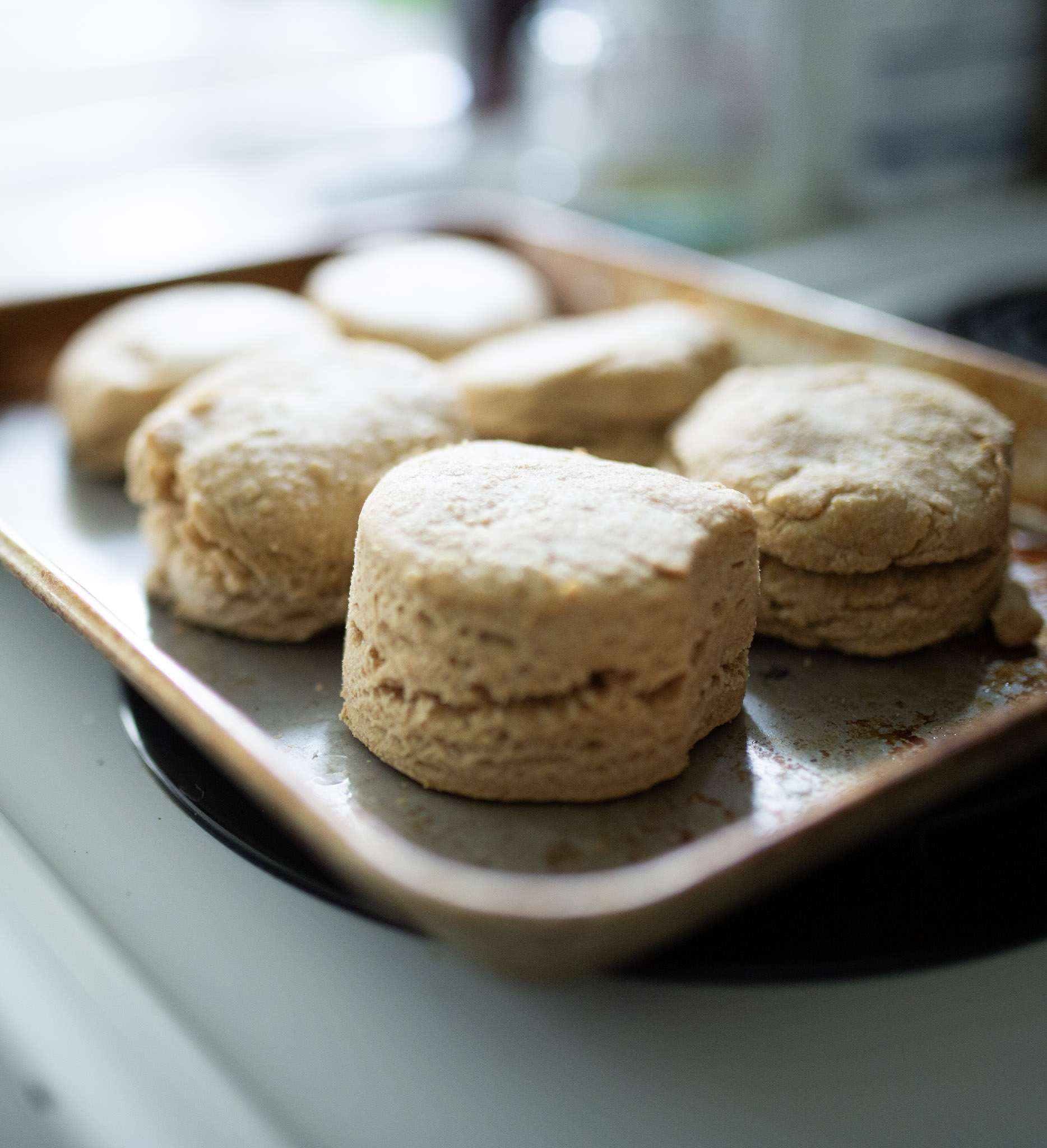 Mile High Biscuits Made with Fresh Milled Flour - The Rose Homestead