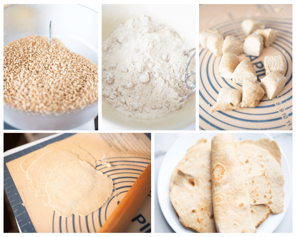 The Perfect Fresh Milled Flour Tortillas Recipe - The Rose Homestead