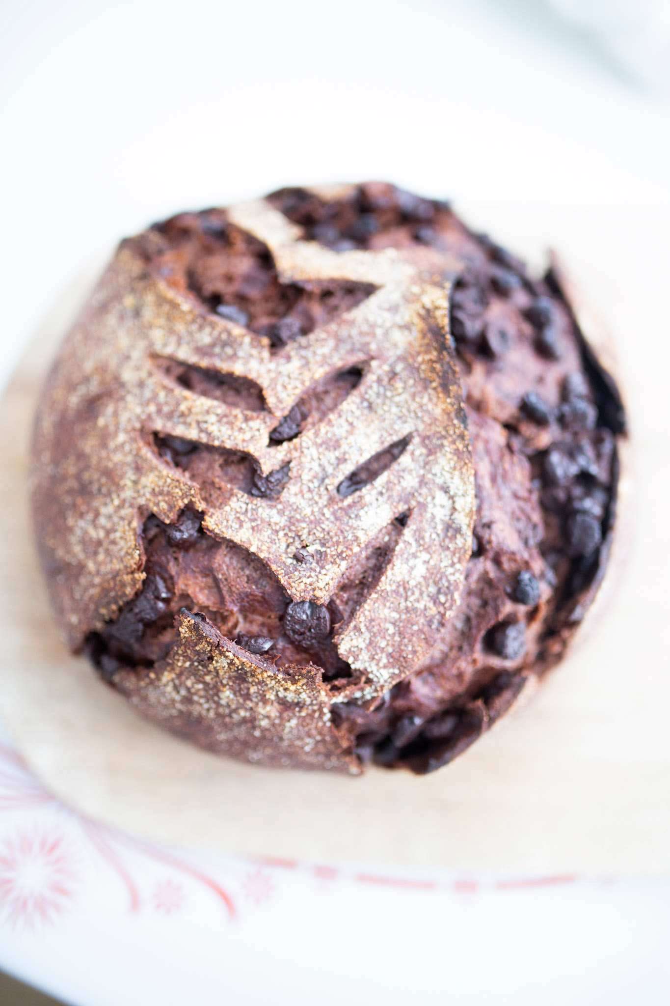 How to Convert a Sourdough Starter to a Stiff Starter - The Rose Homestead