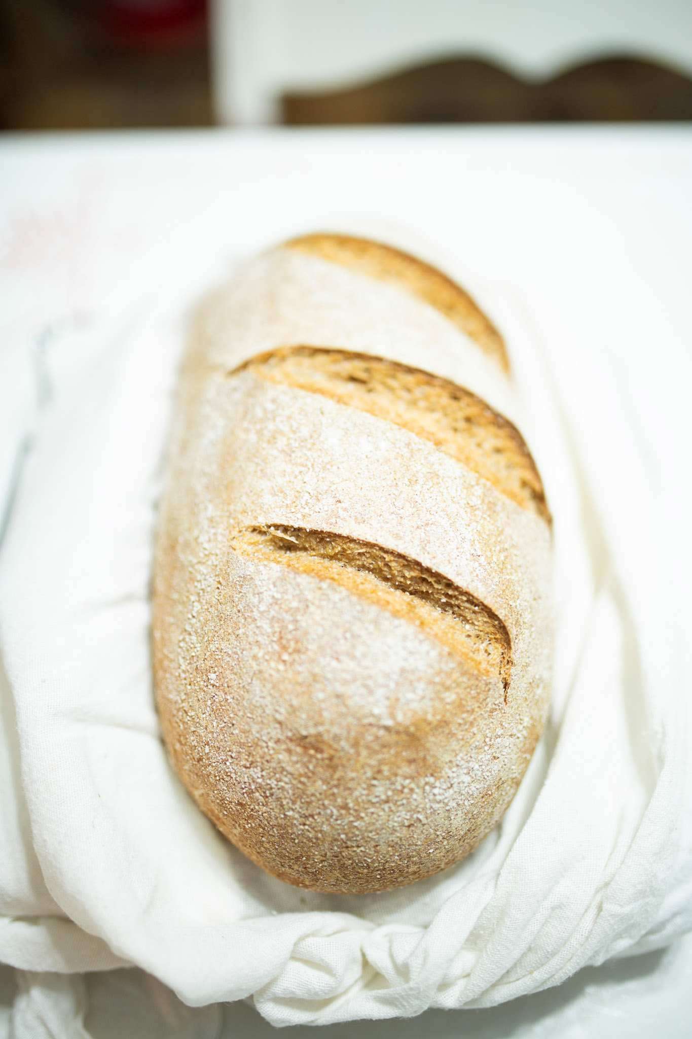 Common Sourdough Terms Explained | For Beginners - The Rose Homestead