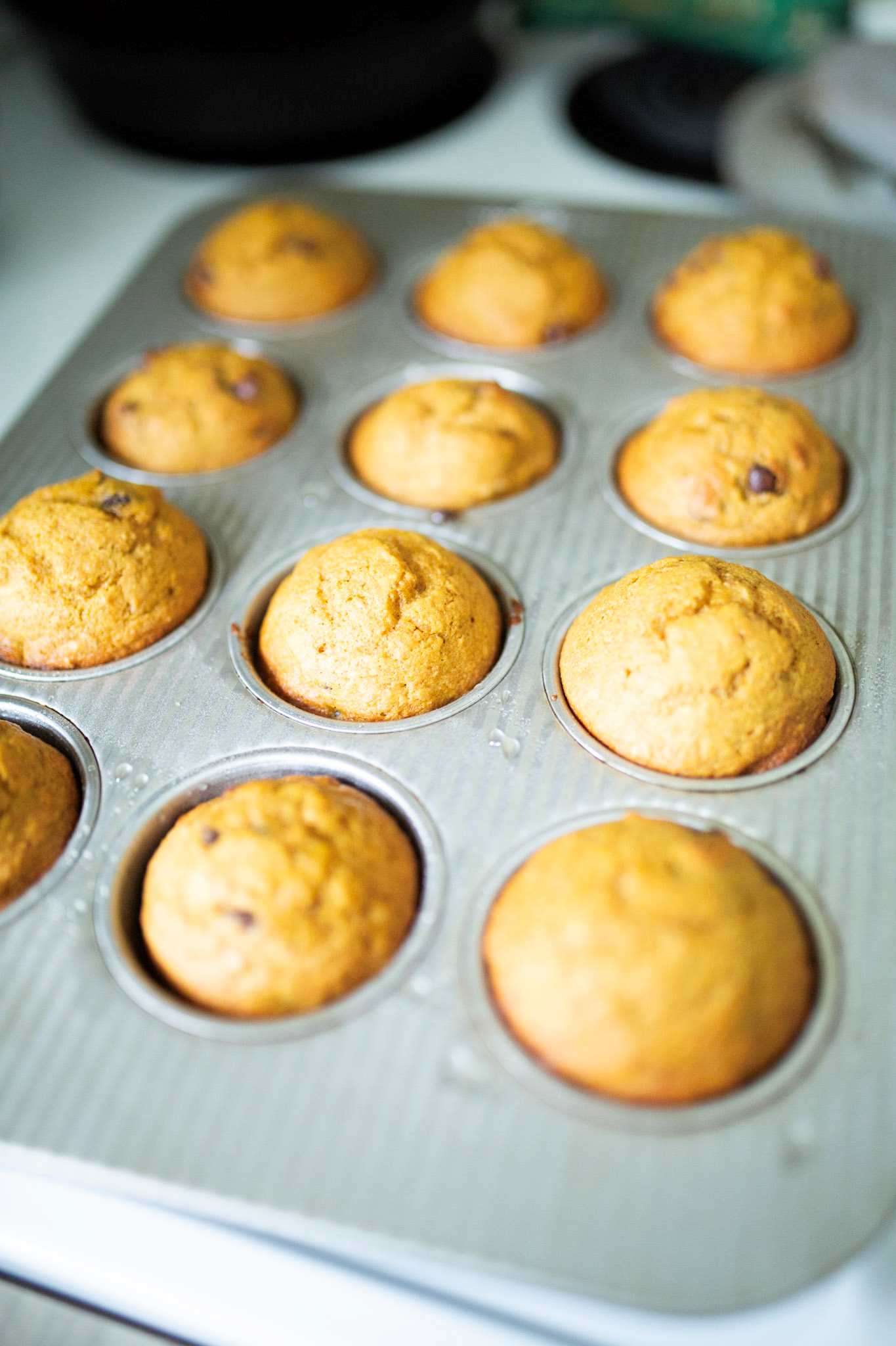 Fresh Milled Spelt Pumpkin Chocolate Chip Muffins - The Rose Homestead