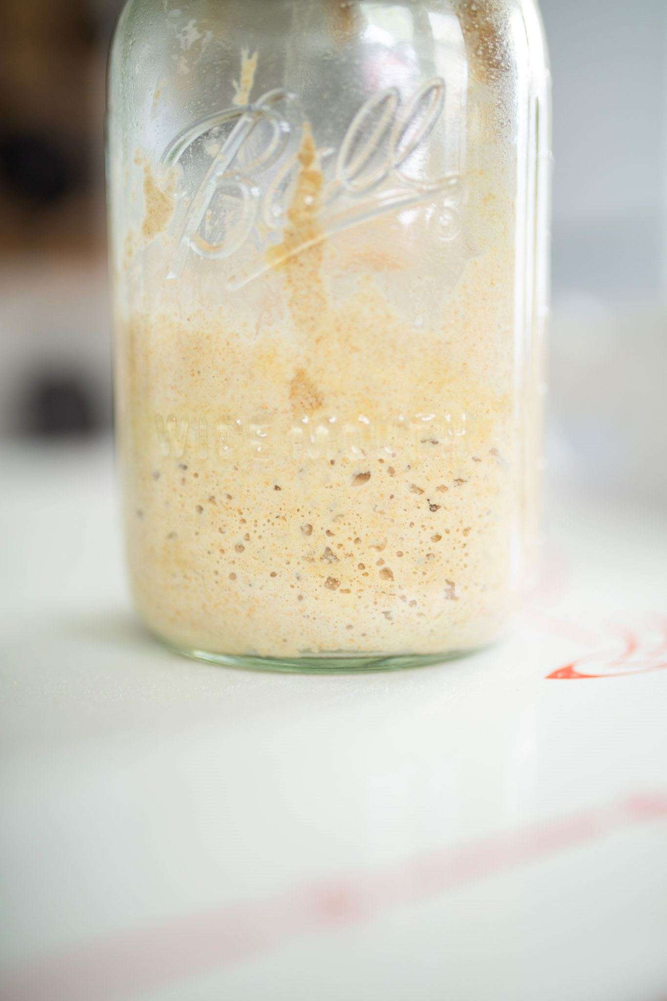 How to Convert a Sourdough Starter to a Stiff Starter - The Rose Homestead