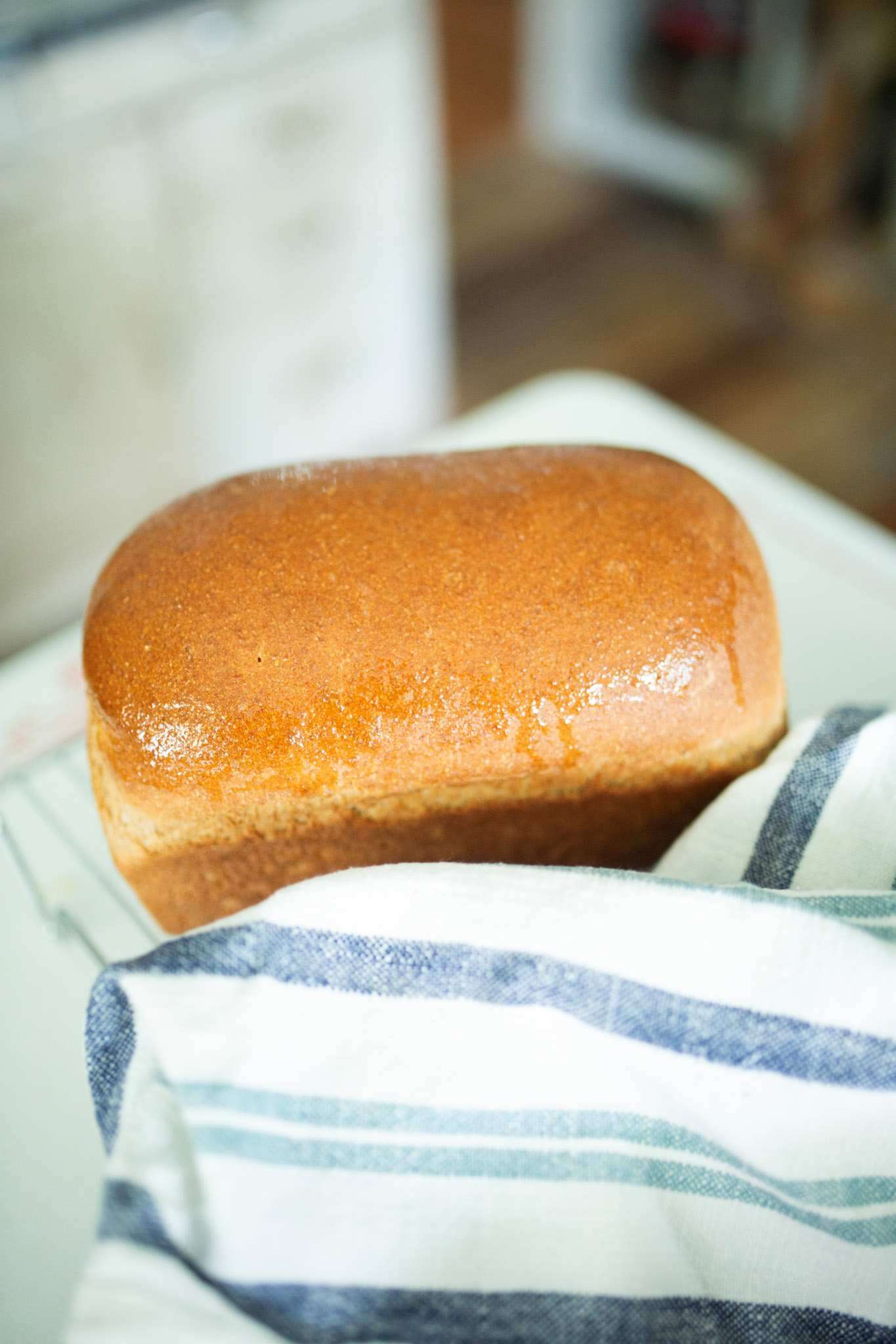 Easy Spelt Sandwich Bread Recipe | Fresh Milled - The Rose Homestead