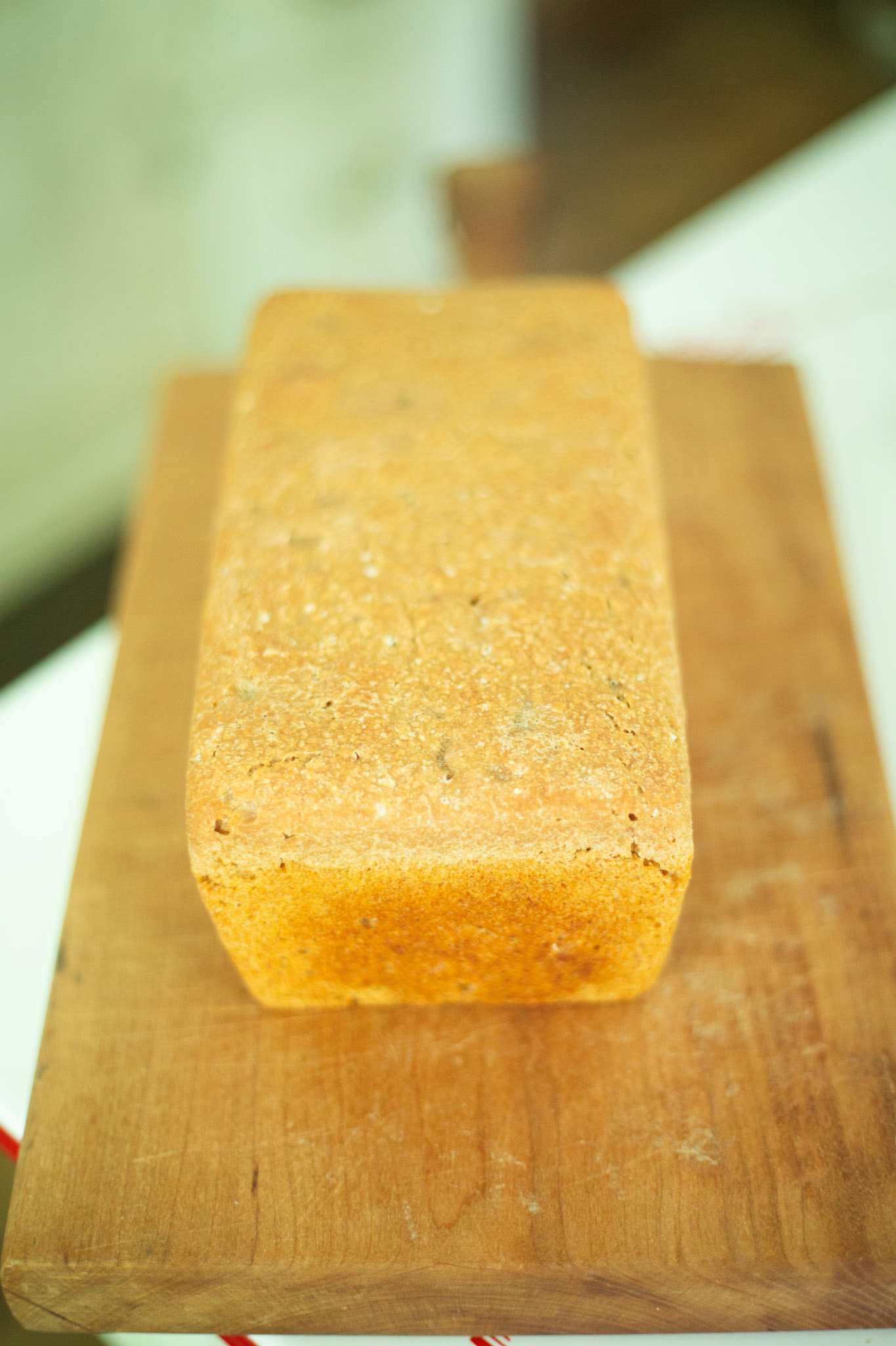 100% Emmer Sourdough Bread {Ancient Grain Recipe} - The Rose Homestead