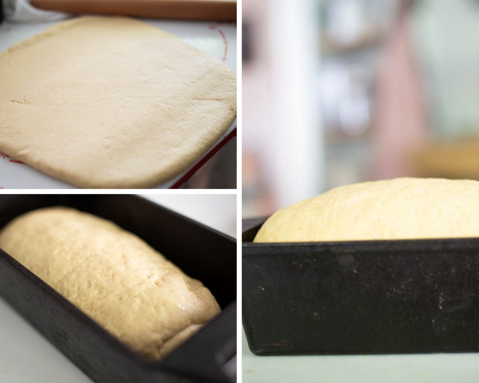 Easy Khorasan Sandwich Bread Recipe {Kamut Flour} - The Rose Homestead
