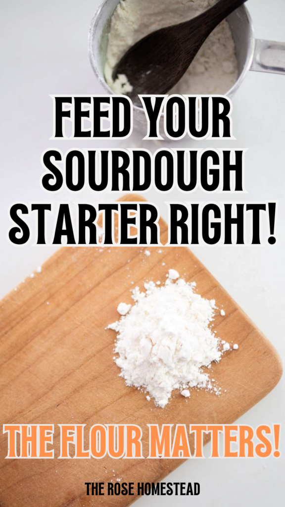 The Best Type of Flour to Feed Your Sourdough Starter - The Rose Homestead