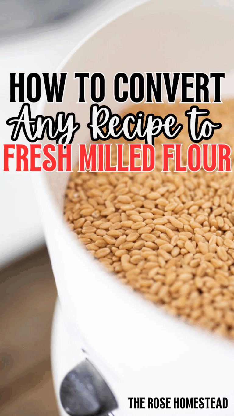 Convert any Recipe to Fresh Milled Flour (Easy Tips) - The Rose Homestead