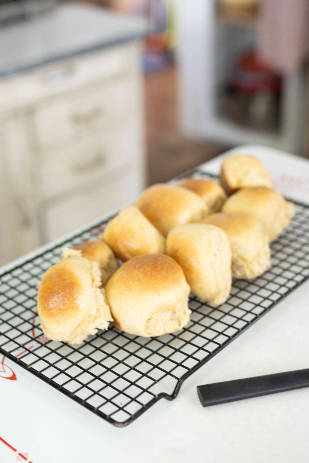 The Best Fresh Milled Dinner Rolls (Yeast Recipe) - The Rose Homestead