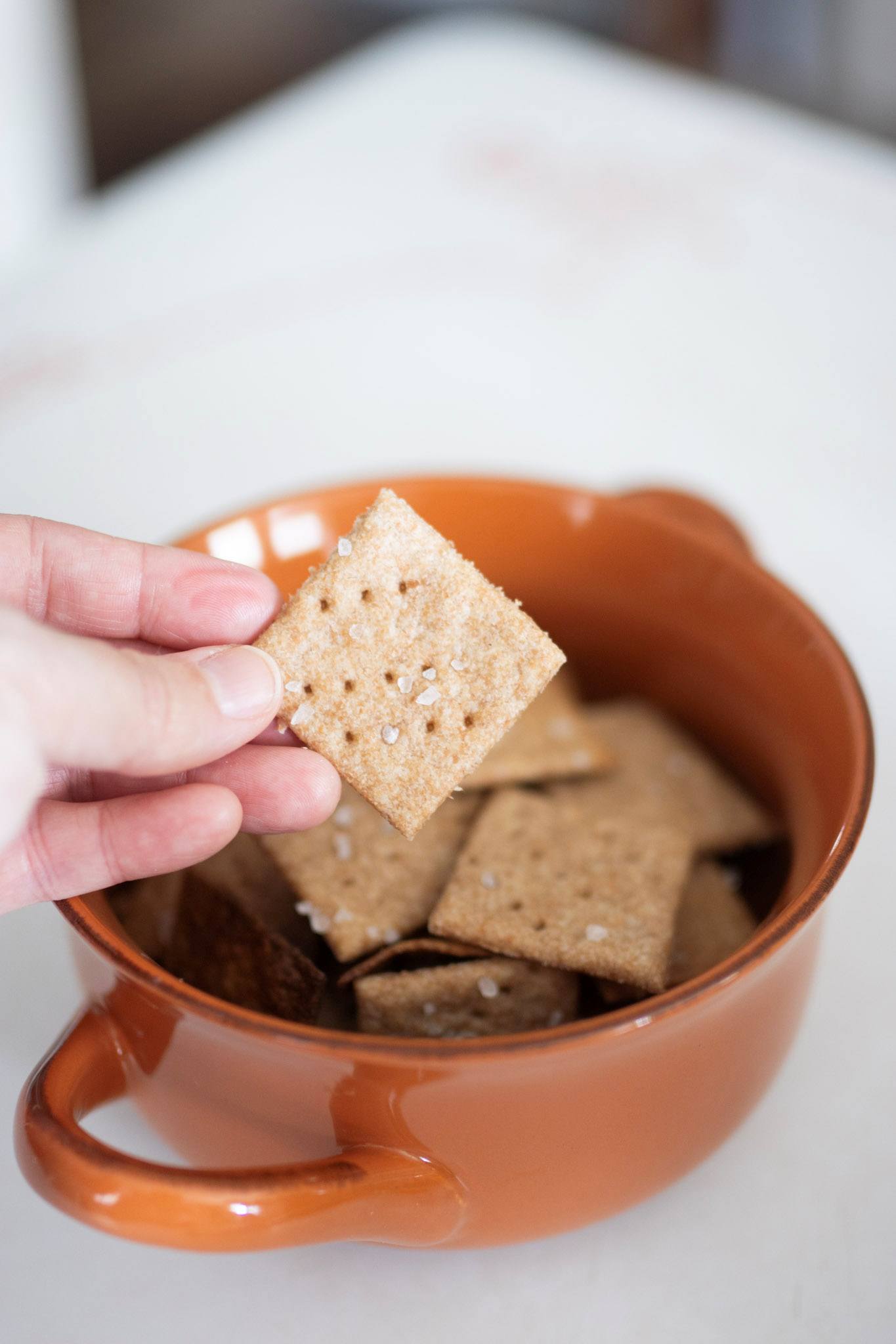 Fresh Milled Crackers (Easy Homemade Snack Recipe) - The Rose Homestead