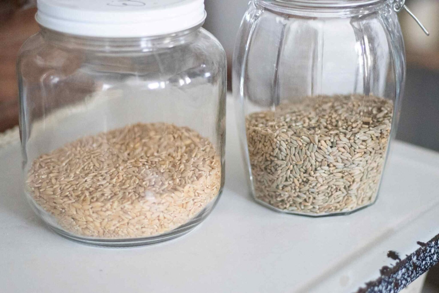 Fresh Milled Ancient Grains Beginner Starter Guide - The Rose Homestead