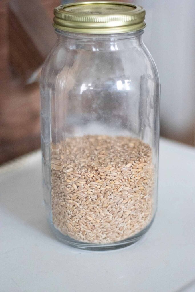Fresh Milled Ancient Grains Beginner Starter Guide - The Rose Homestead