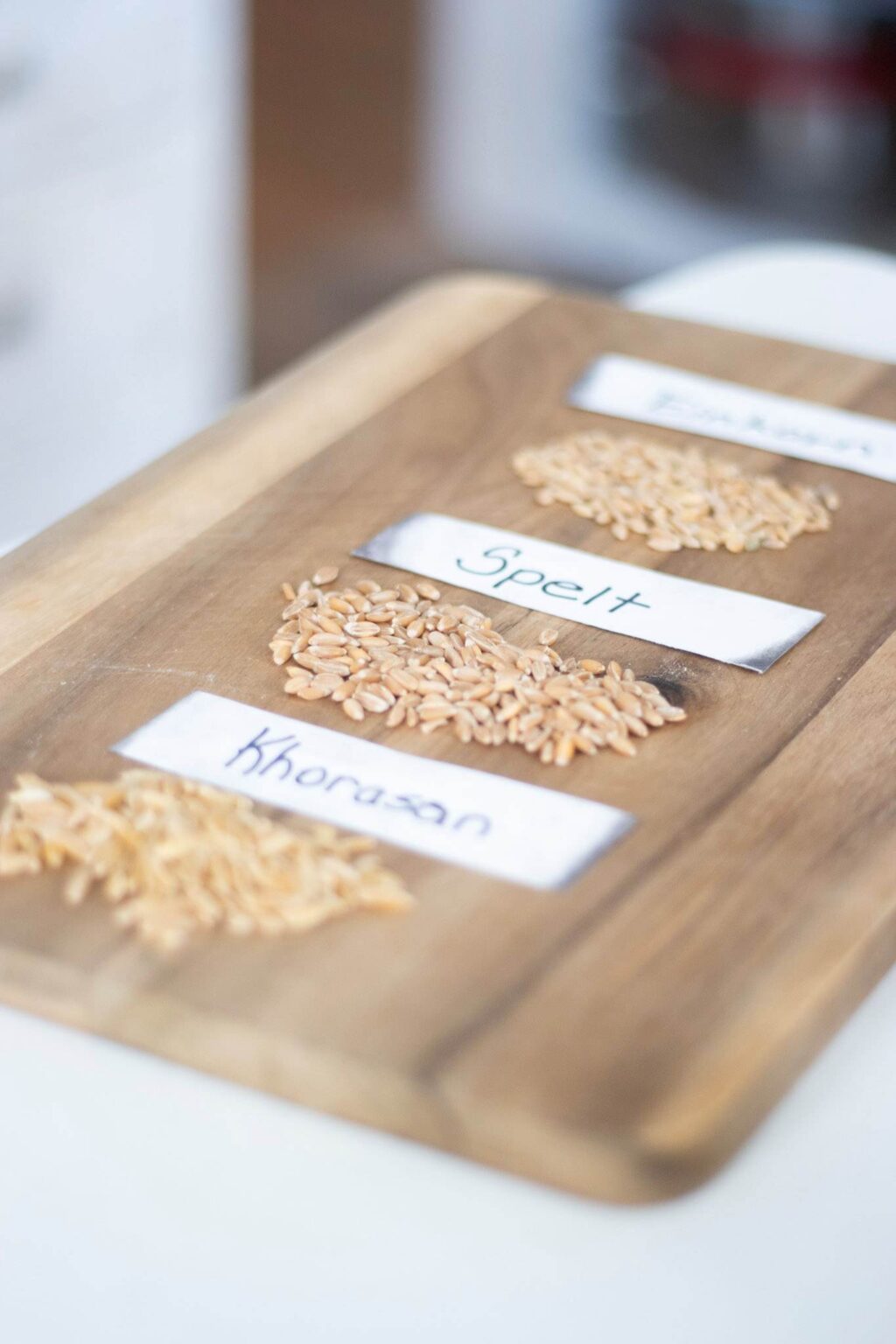 Fresh Milled Ancient Grains Beginner Starter Guide - The Rose Homestead