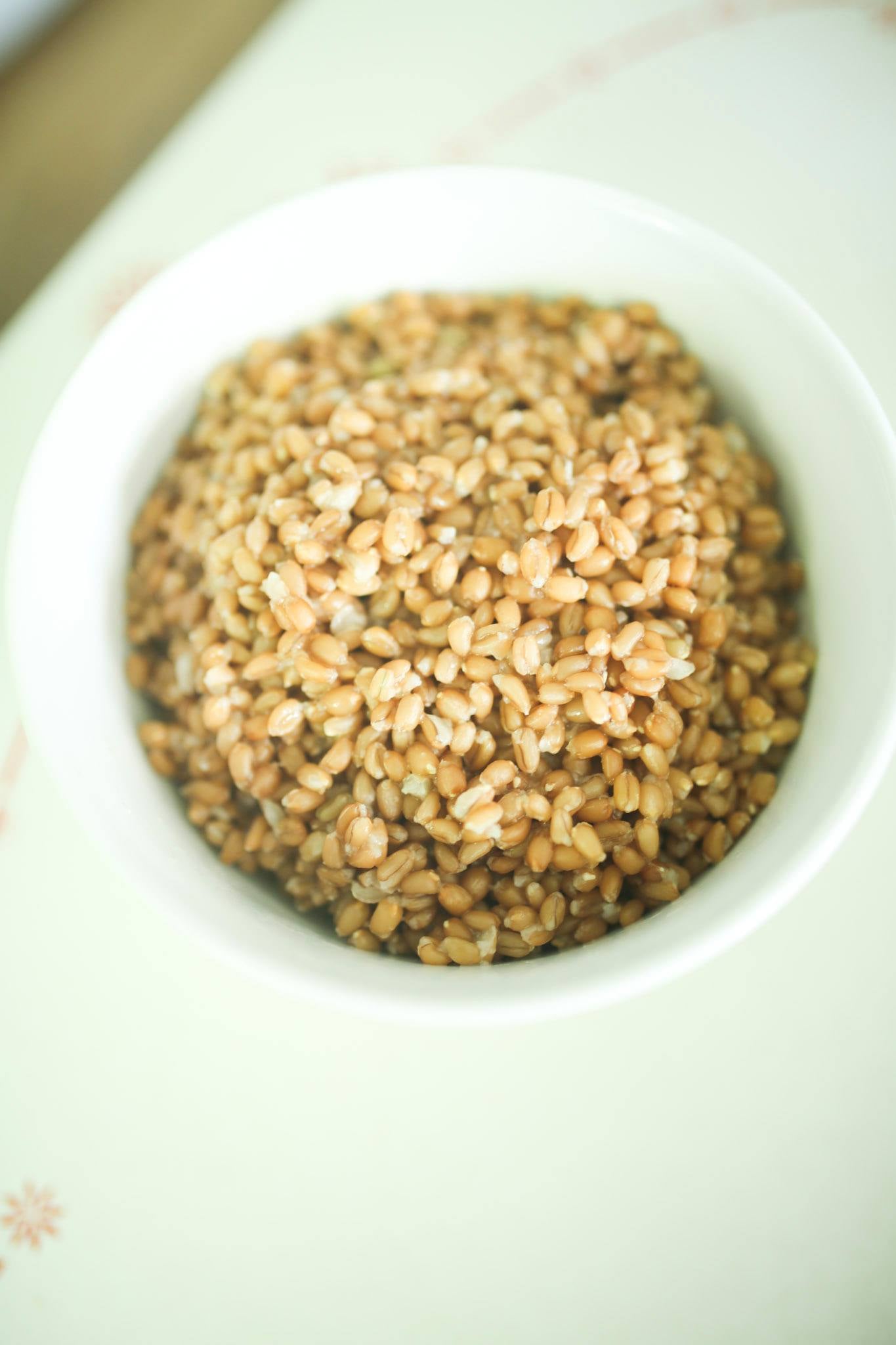 How To Cook Wheat Berries (Healthy Rice Substitute) - The Rose Homestead