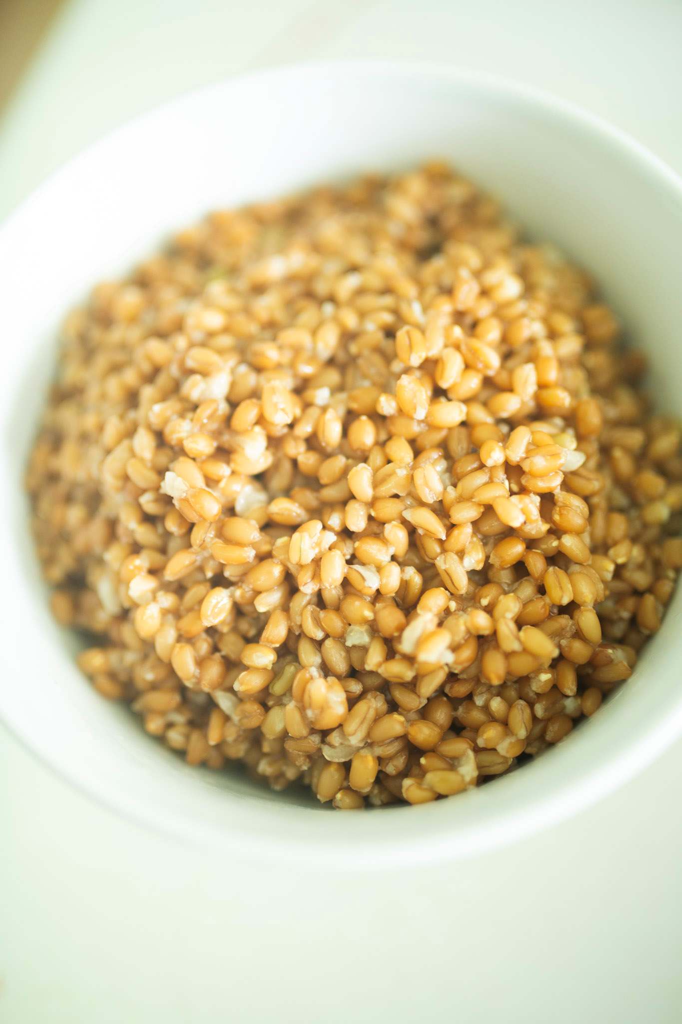 How To Cook Wheat Berries (Healthy Rice Substitute) - The Rose Homestead